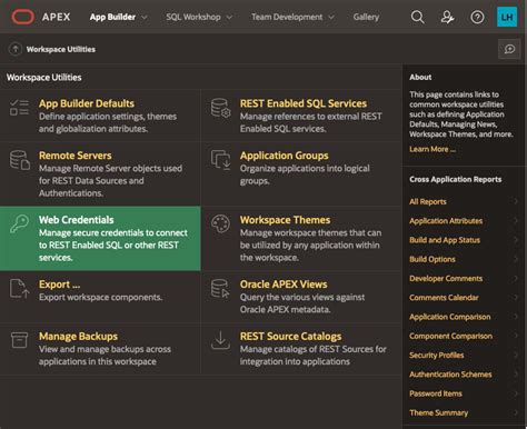 Oracle Apex Social Login
