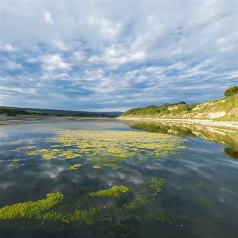 What Is A Wetland Plus 8 Key Wetland Facts Wwf