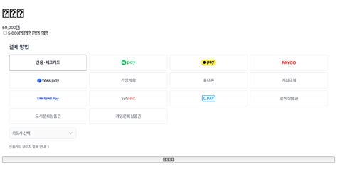 Payment Widget Nextjs Sample Codesandbox