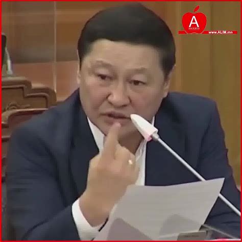 Н Алтанхуяг Оффшор бүсэд байгаа мөнгийг Монголд оруулж ирэхэд сангийн сайд Ч Хүрэлбаатар саад