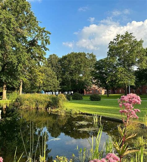 Study Online With Constructor University