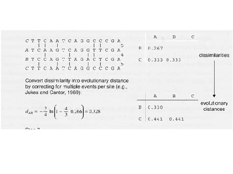Chapter 5 Phylogeny Inference Based On Distance Methods