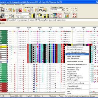 The Basic Editor Screen For Direct Alignment Editing GUI Controls Download Scientific Diagram