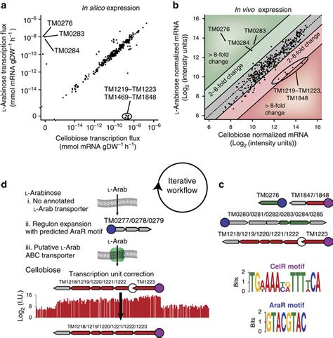 In Silico Transcriptome Profiling Drives Biological Discoverya In Download Scientific