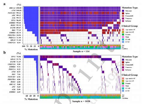 Waterfall Plot Describing The Variant Profile Of The Top 10 Genes In Download Scientific