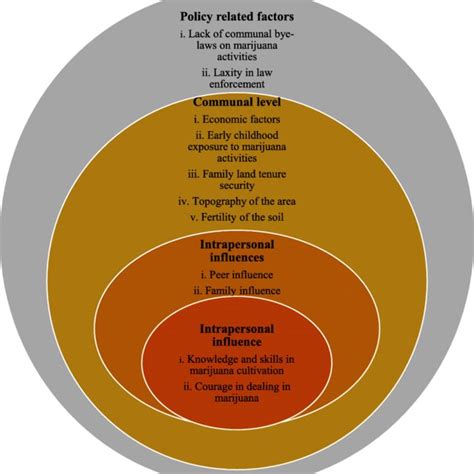 Conceptual Framework Of The Socio Ecological Model Adopted From Mcleroy Download Scientific
