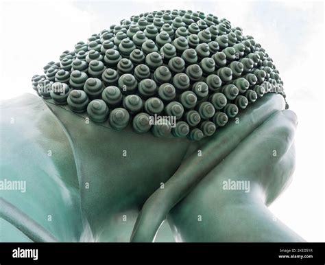 The Back Of The Head Of The Giant Reclining Buddha Statue At Nanzoin A