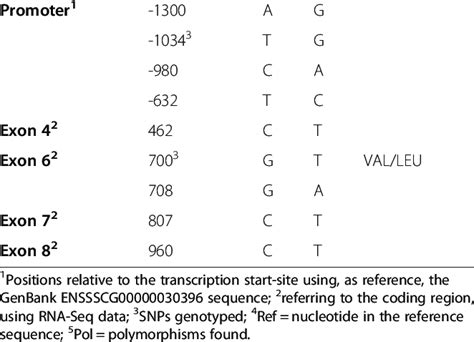 polymorphisms identified in the proximal promoter and coding regions of