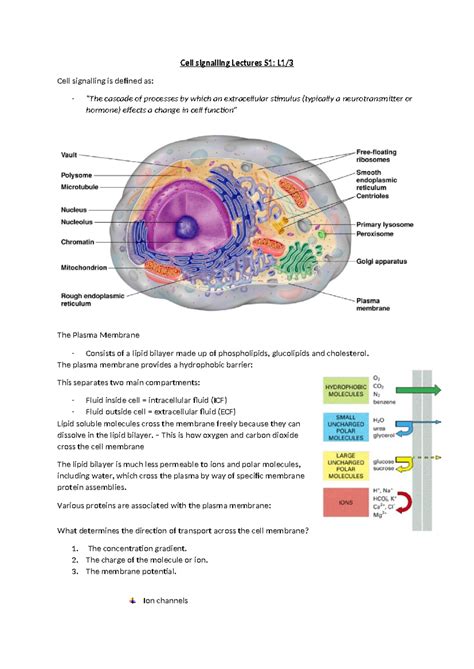 Cell Outtakes Just Notes Cell Signalling Lectures S1 L1 Cell Signalling Is Defined As