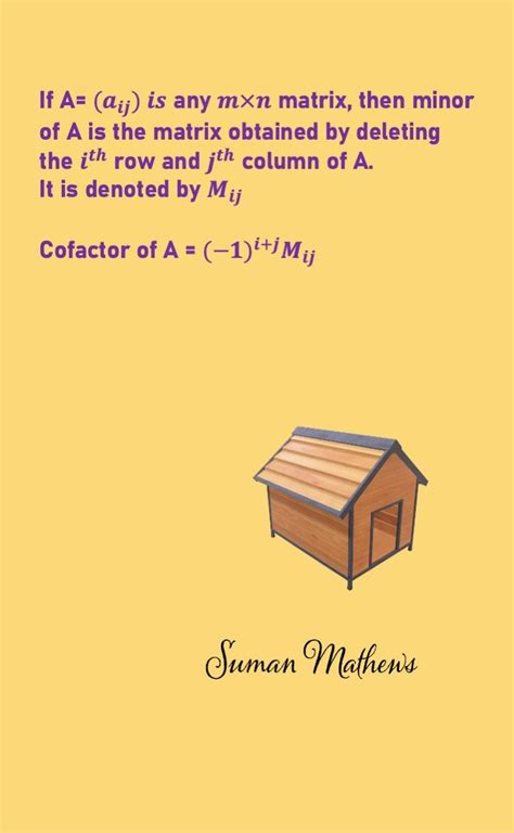 Understand The Difference Between Minor And Cofactor Of A Matrix Class 12 Math