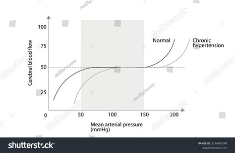 3 Mean Arterial Pressure Stock Vectors Images And Vector Art Shutterstock