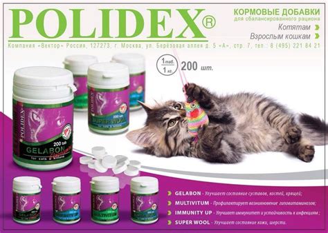 Витамины для шерсти для кошек | лучшие, отзывы ветеринаров