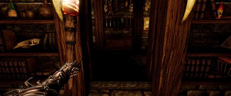 Torches Cast Weird Shadows Technical Support Skyrim Special Edition LoversLab