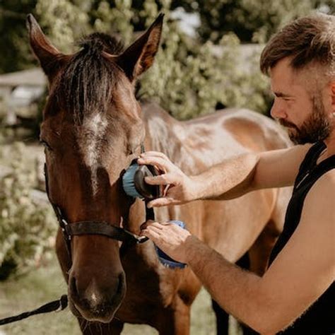 Clichés Impact Misty Mouse Tumblr Blog Tumlook