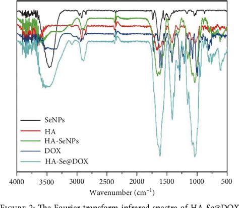 Figure 2 From Functionalized Selenium Nanoparticles Enhance Anticancer