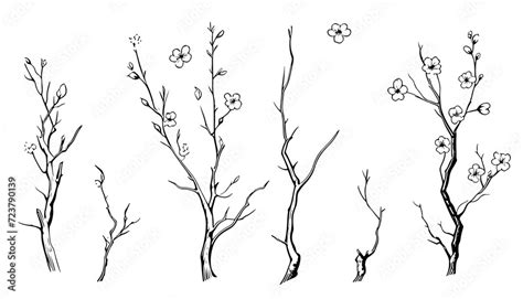 Tree Branch Engraving Hand Drawn Forest Twigs Dry Wood Log And Lumber