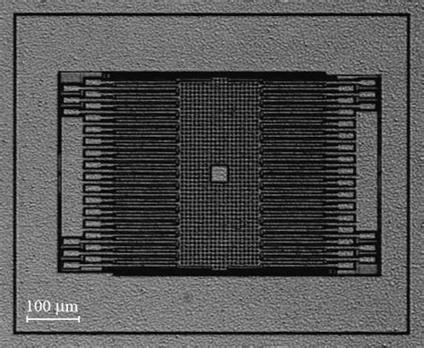 Fabricated MEMS Accelerometer Download Scientific Diagram