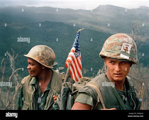 marines unloading and moving through tree and branch strewn landing
