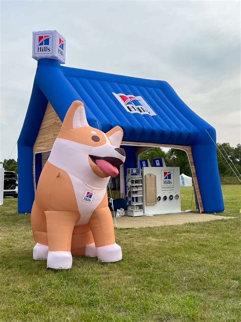 Stand Hills Cidi Groupe