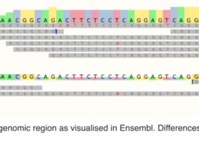 Genomics 第 页 Public Library of Bioinformatics