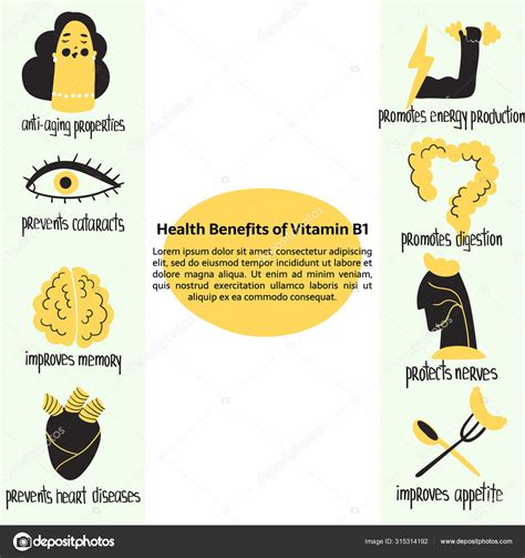 Vitamin B1 Thiamine Prevents At Ashley Cianciolo Blog