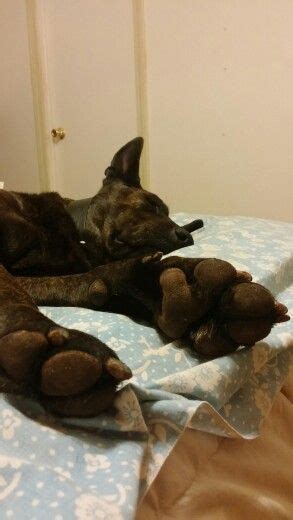 Lucy Sleeping Beauty