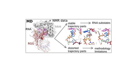 Conformational Heterogeneity Of Rna Stem Loop Hairpins Bound To Fus Rna