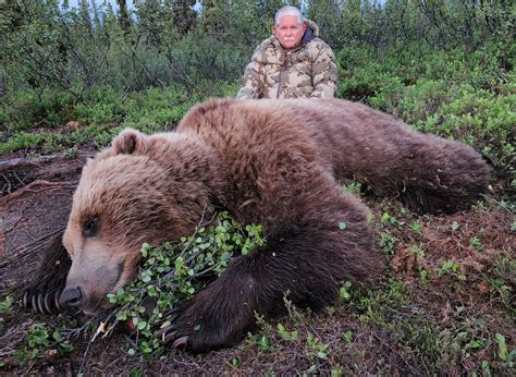 Big Alaska 9 Day8 Night Grizzly Bear Hunt For One Hunter In Alaska