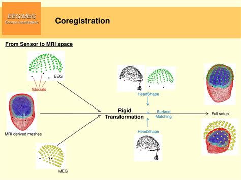 Ppt Eegmeg Source Localisation Powerpoint Presentation Free Download Id608413