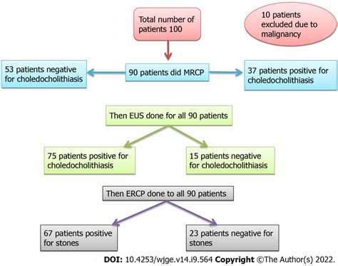 What Is Ercp And Mrcp At Charles Boucher Blog