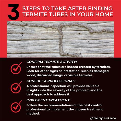 Aaa Pest Control South Florida On Linkedin Termites Termitecontrol