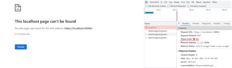 C Migrating Service Fabric Net Core 31 App To Net 6 Resulting In