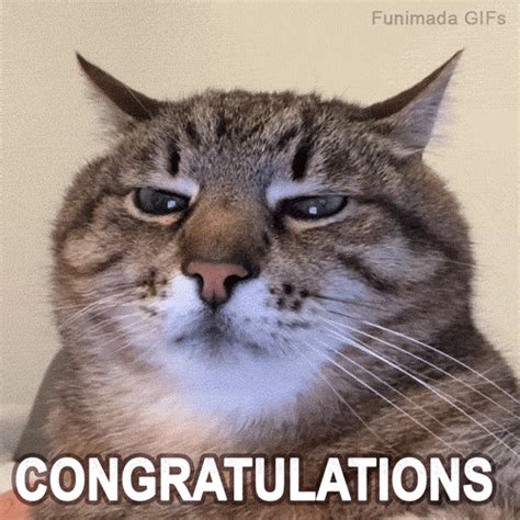 Congrats Funny 