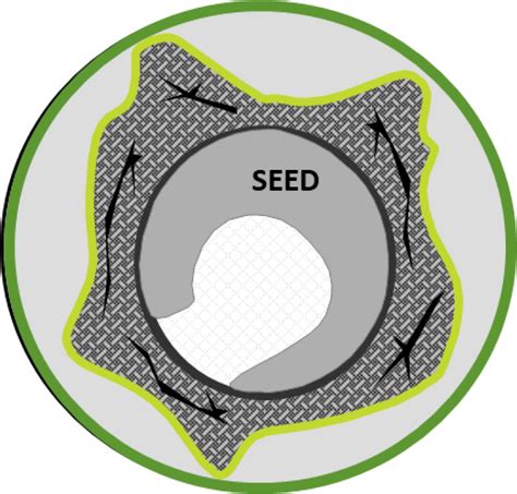 The Role Of Seed Technologies In Sugar Beet Growing Past Present And Future Germains Seed
