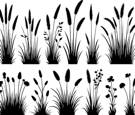 Página 2 Vetores E Ilustrações De Prado Juncos Para Download Gratuito