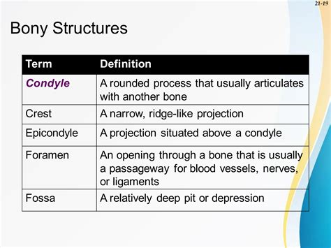Skeletal System Human Anatomy Bone Structure Pdf