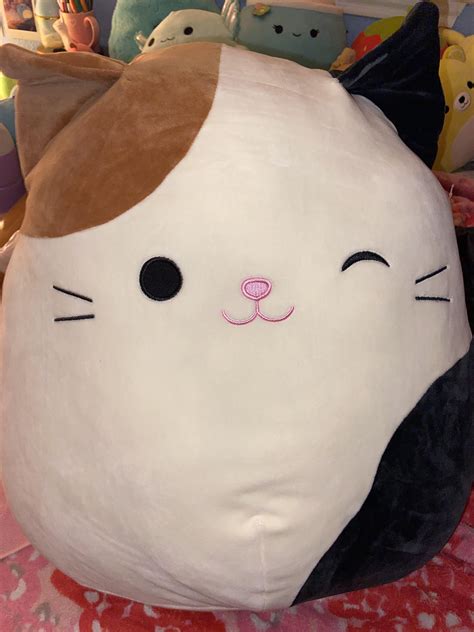 Squishmallow 16 Cameron The Cat Online Collection Egertonacke