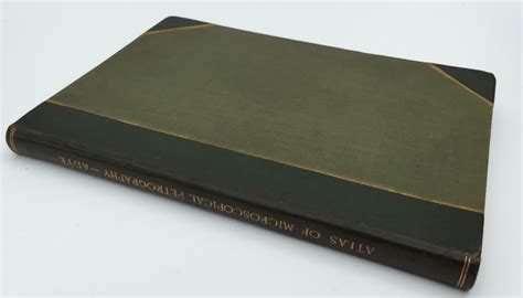 Adye Antique Microscope Slides Fleaglass