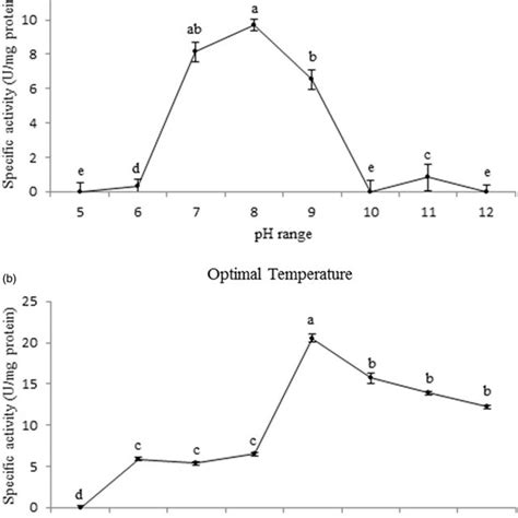 Effect Of PH And Temperature On The Purified Trypsin Activity In The Download Scientific