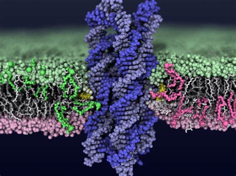 outperforming nature using dna origami nature research bioengineering