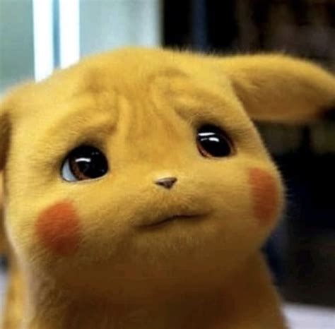 Pikachu Pikachu Cat Cute Pikachu Pikachu Art