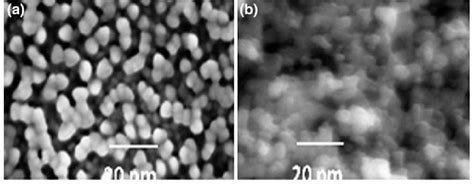 TEM Image Of Sample 1 And Sample 2 Download Scientific Diagram