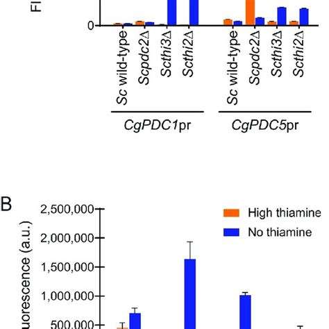 Pdc Promoters In Both Species Expression Of Pdc1 And Pdc5 Promoters