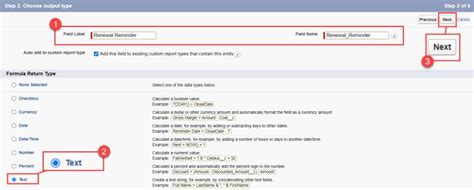 Salesforce IF Function