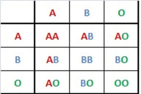 A Negative Blood Type Ethnicity Clothesplora
