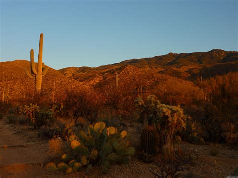 Arizona Desert Sunset Wallpapers 4k Hd Backgrounds On Wallpaperbat