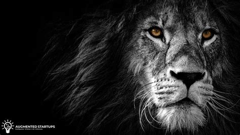 Yolov7 Object Detection Course Comidoc