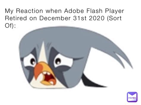 My Reaction When Adobe Flash Player Retired On December 31st 2020 Sort