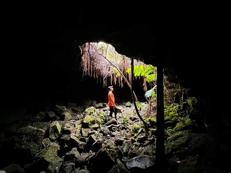 The Boss Sensei Swag Mini Art The Boss Sensei Swag Mini Art