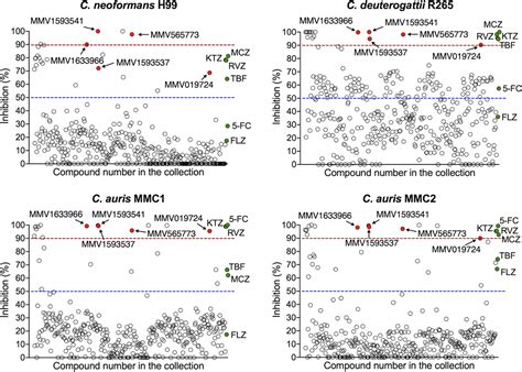 Cryptococcosis Life Cycle